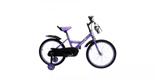 Velosiped 20-li DT-8287/20 bənövşəyi - Ofisait