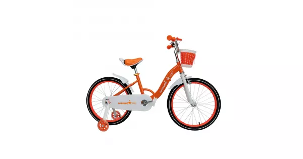 Velosiped 20-li DT-8289/20 narıncı - Ofisait